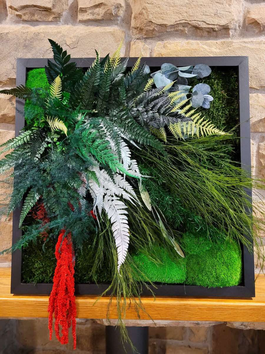 Moss Frame Moss Wall Art Nature Room Decor Art Modern Wall moss-frame-moss-wall-art-nature-room-decor-art-modern-wall