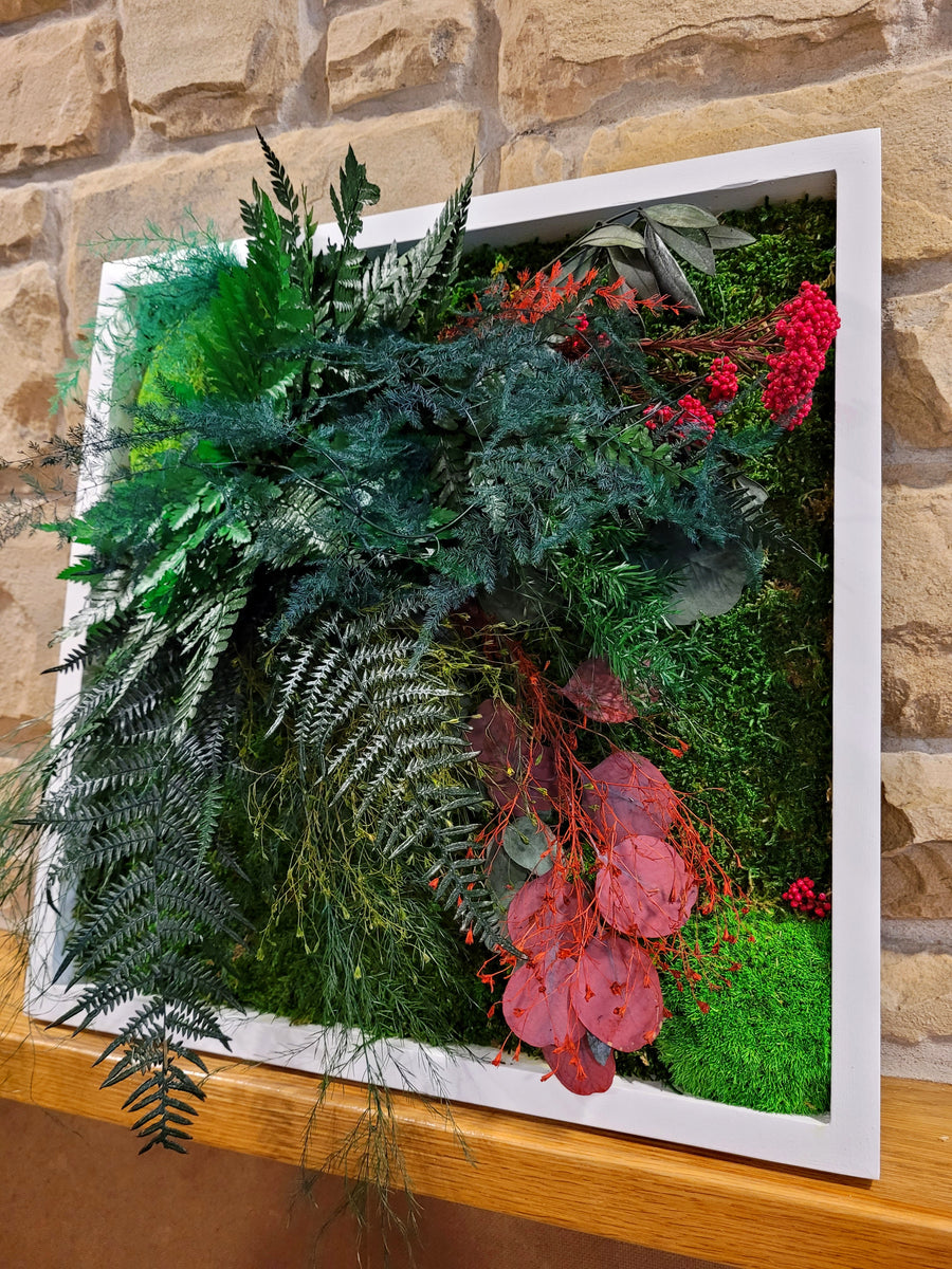 Moss Frame Moss Wall Art Nature Room Decor Art Modern Wall Moss Frame Moss Wall Art Nature Room Decor Art Modern Wall