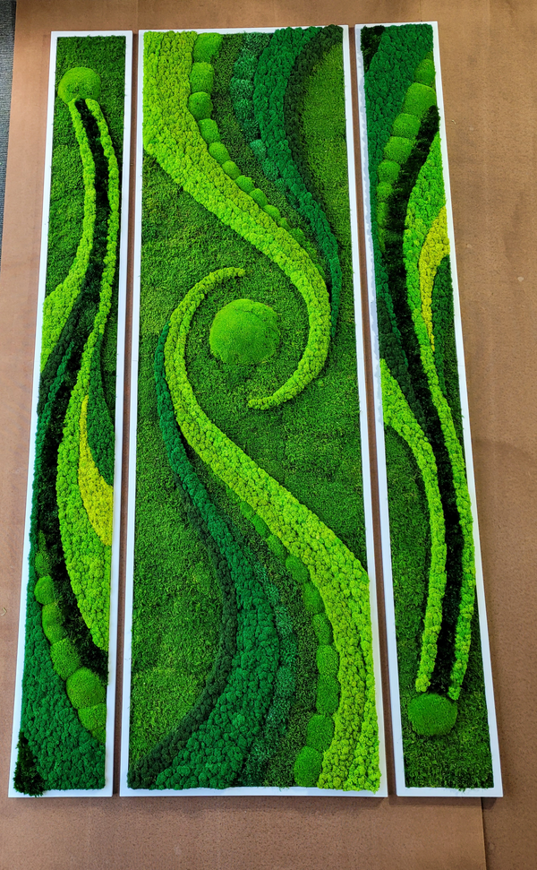 Moss Art Preserved Moss – LONDON ECO MOSS