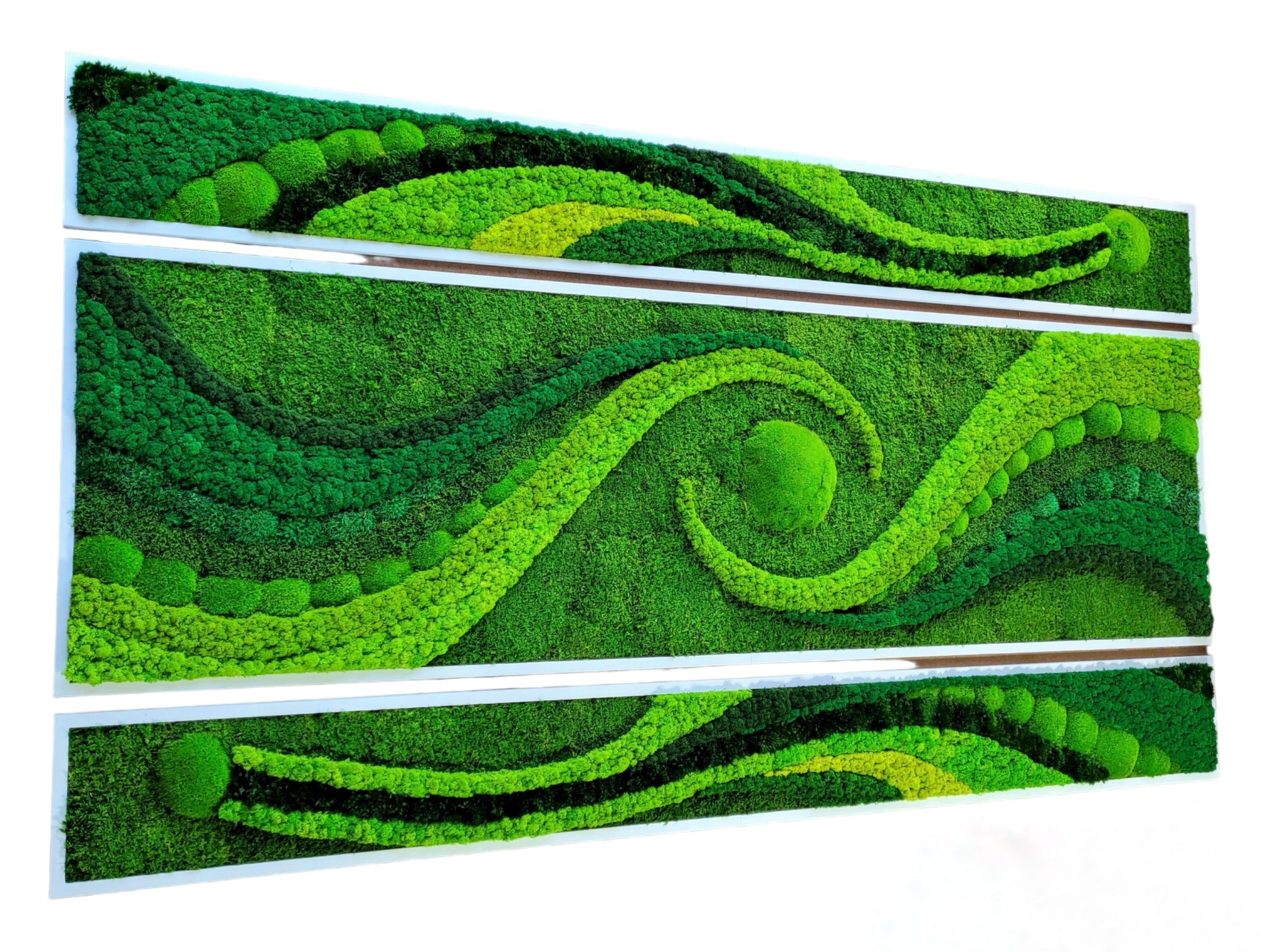 Moss Art Preserved Moss – LONDON ECO MOSS