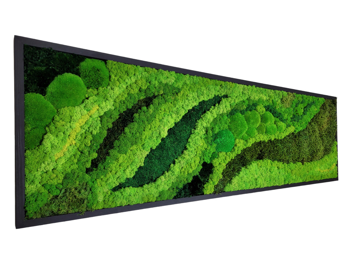 Moss frame, Moss Wall Art, Nature Room Decor, Art Modern wall ...