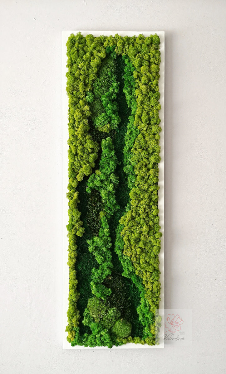 Preserved Moss Art Framed. Picture of preserved moss – VALENTINA ART ...